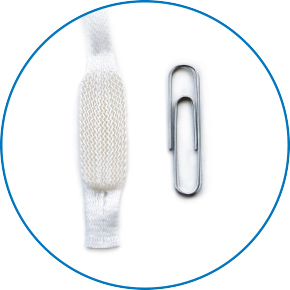 About Cervidil - Cervidil